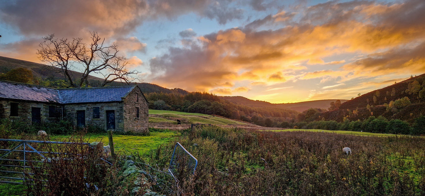 What Does Living Off-Grid Mean? | Icon LifeSaver – Icon Lifesaver